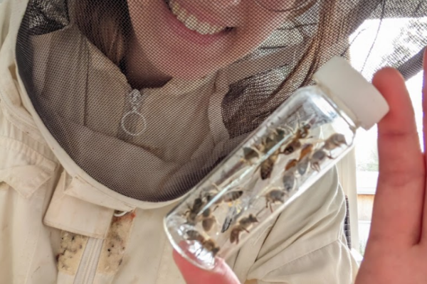 Syndicat d’Apiculture Méridionale SAM - Syndicat d'apiculture ...